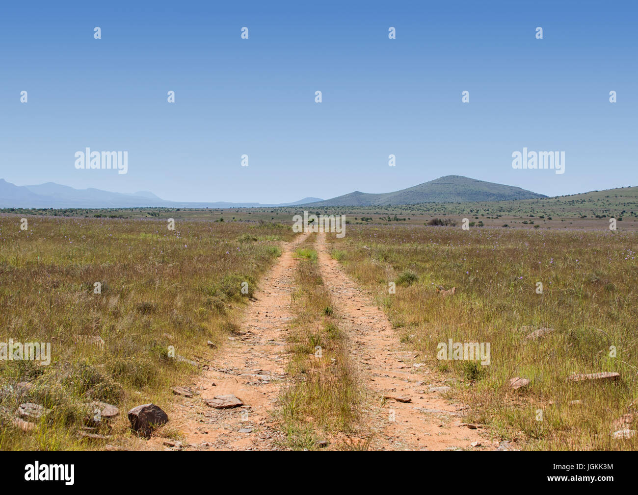 A landscape from the Eastern Cape savanna, South Africa Stock Photo - Alamy