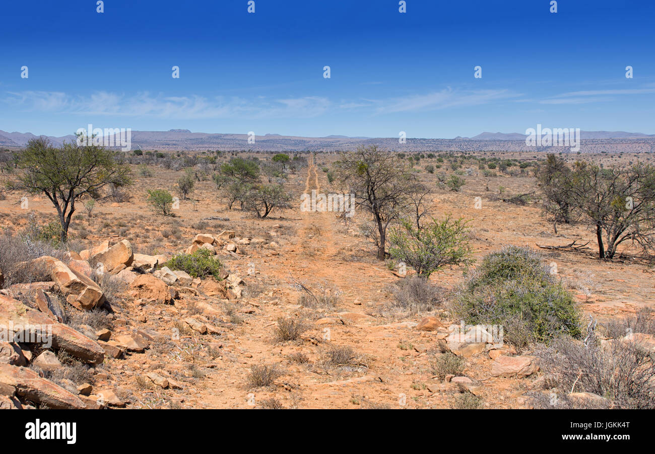 A landscape from the Eastern Cape savanna, South Africa Stock Photo - Alamy