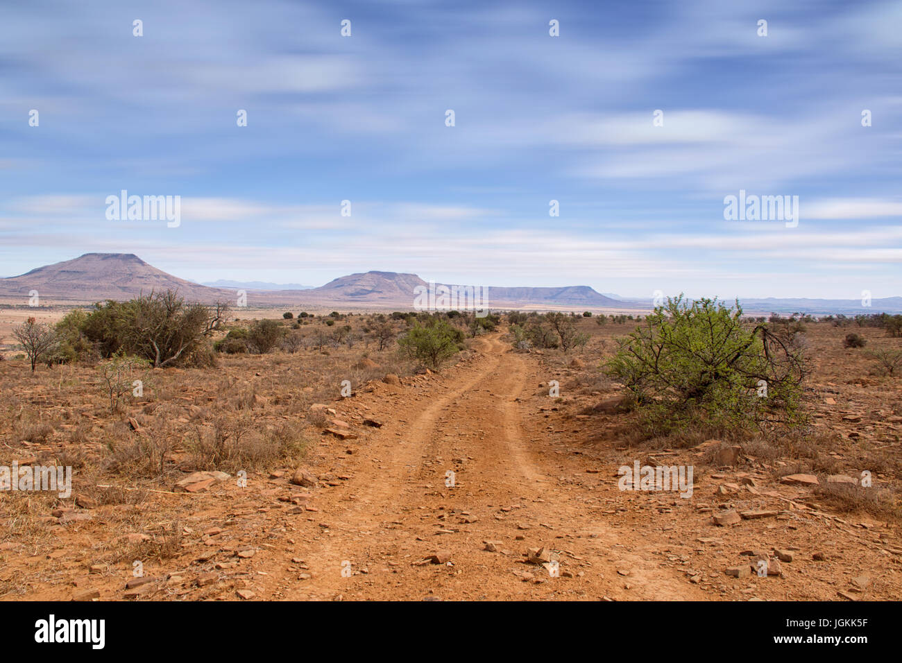 A landscape from the Eastern Cape savanna, South Africa Stock Photo - Alamy