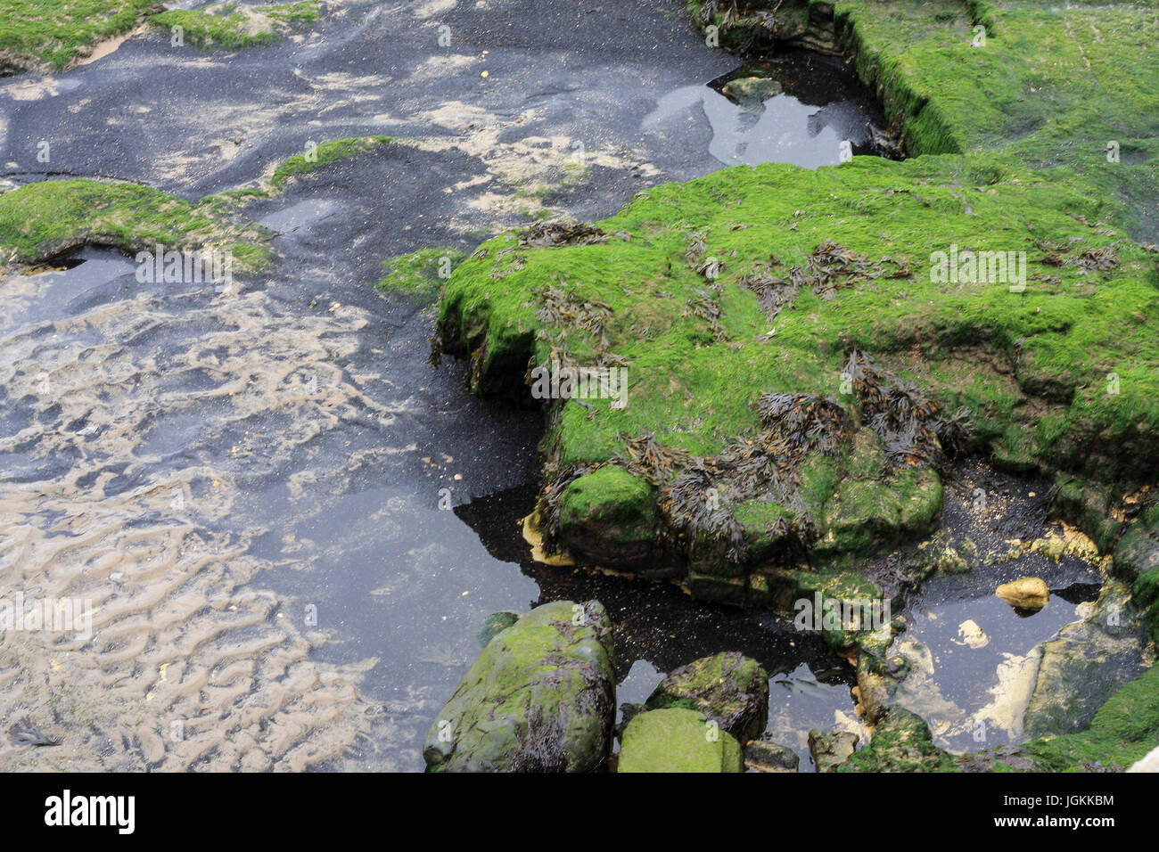 Blackhall rocks hi-res stock photography and images - Alamy