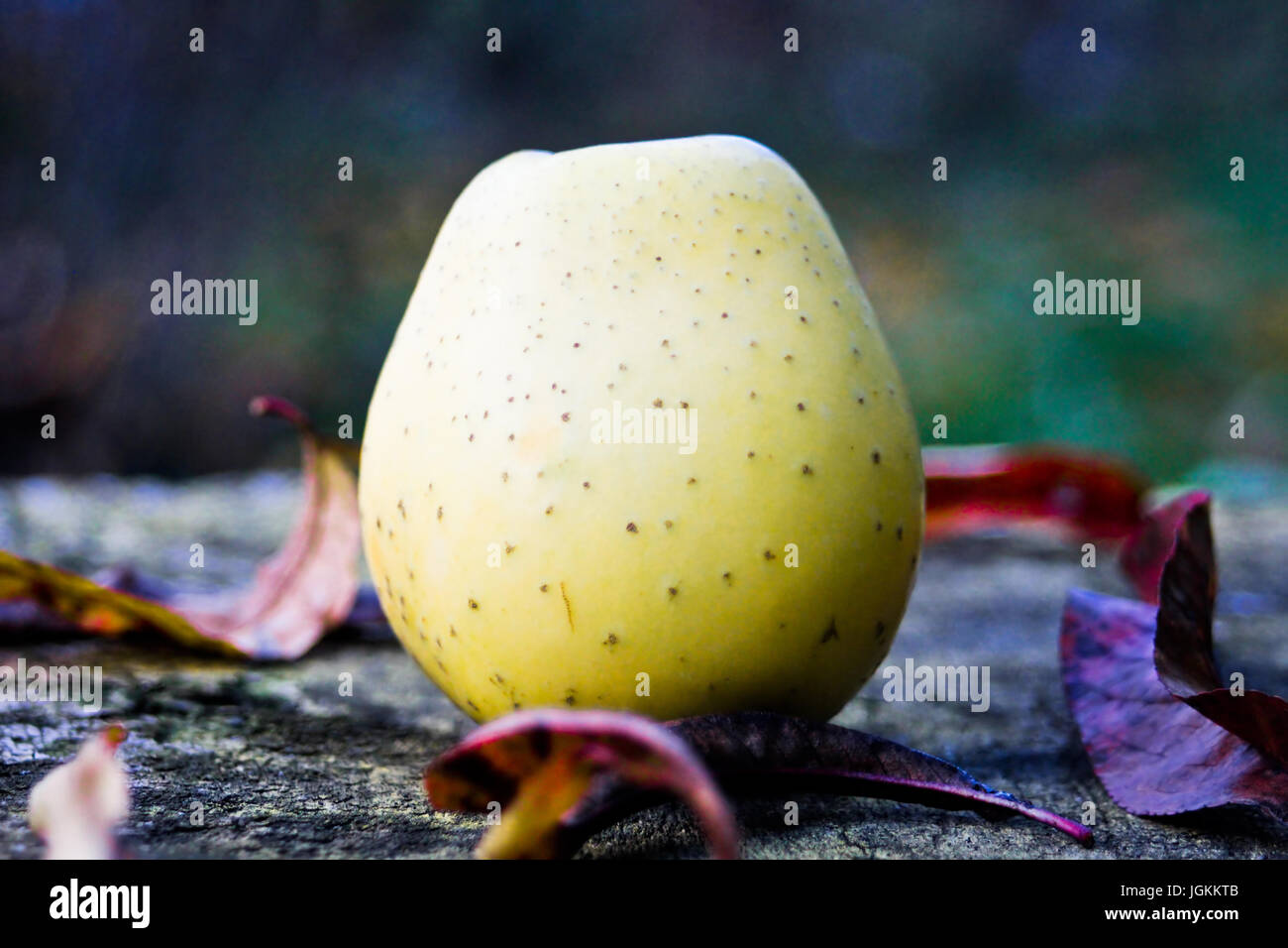 Delicious apples from Serbia Stock Photo - Alamy