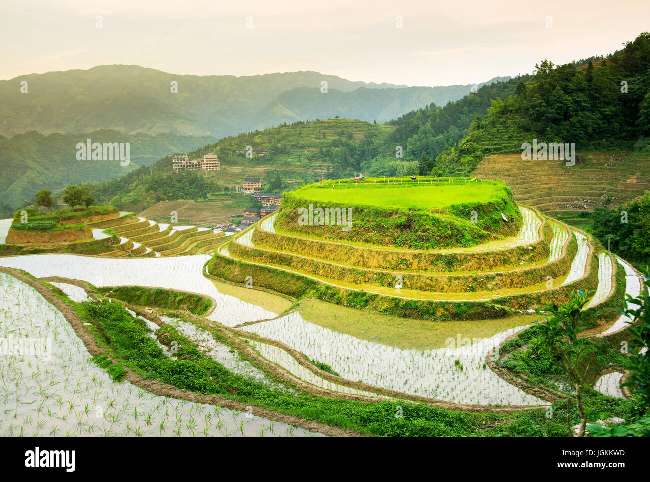 Terraced rice field in Longji, Guilin area, Guangxi China Stock Photo ...