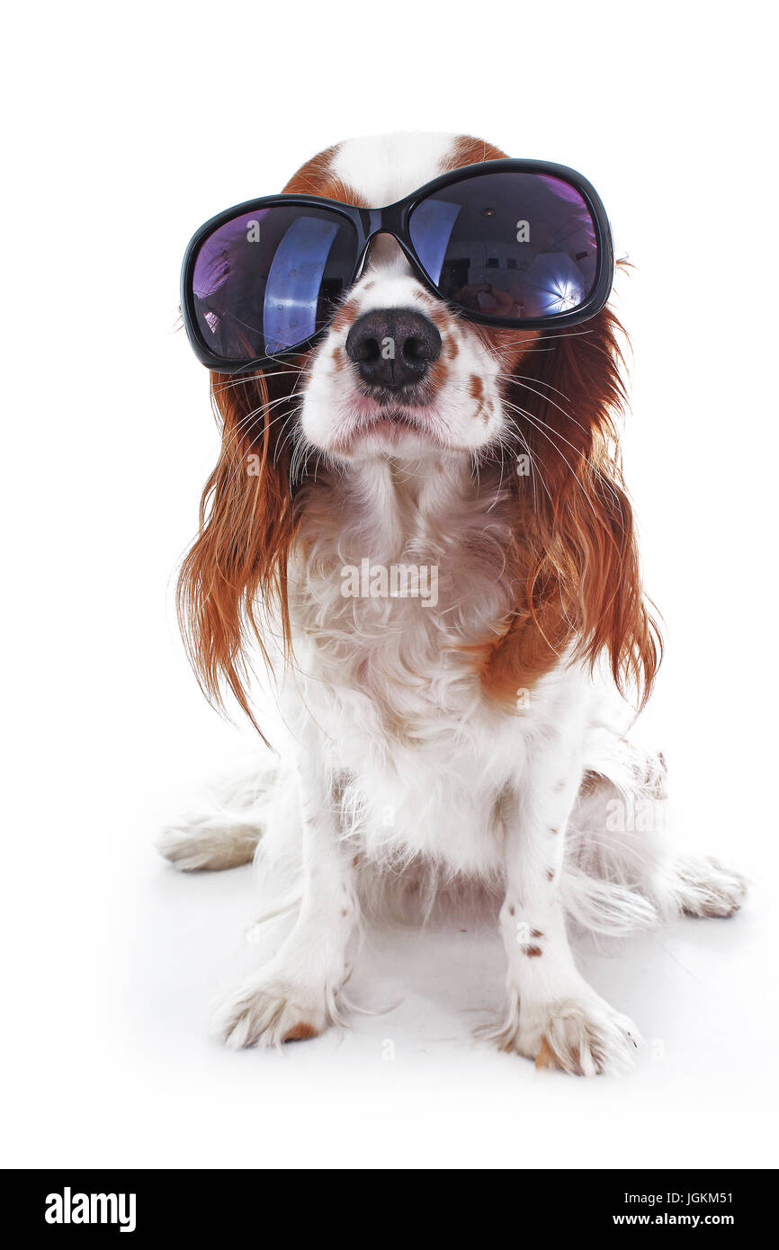 Funny summer Cut Out Stock Images & Pictures - Alamy