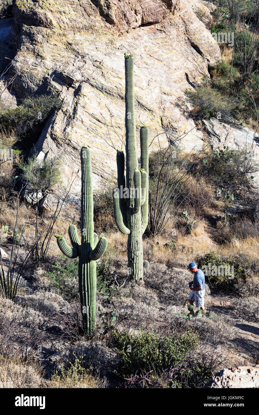 6 ft man hi-res stock photography and images - Alamy