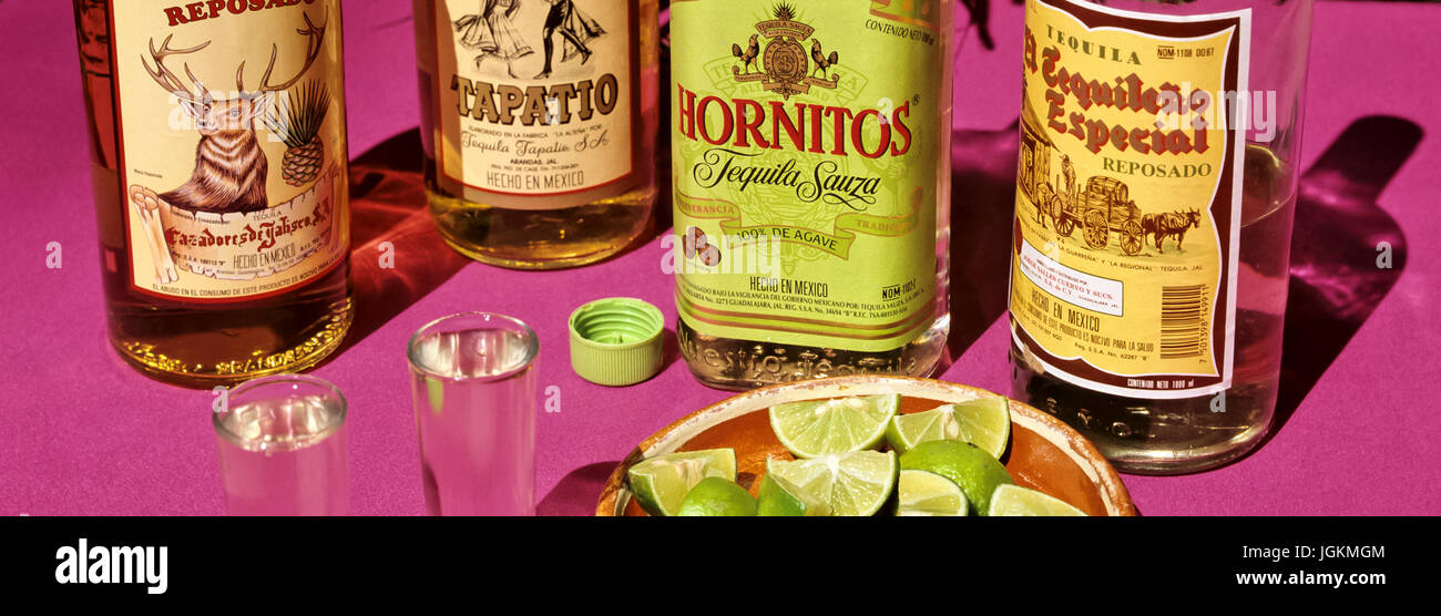 Tequila Backgrounds 3,900+ Tequila Background Stock Illustrations,