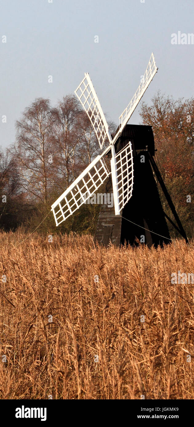 RS 4925. Backgrounds; Colours; Colors; Display; Wicken Fen, Windmill ...