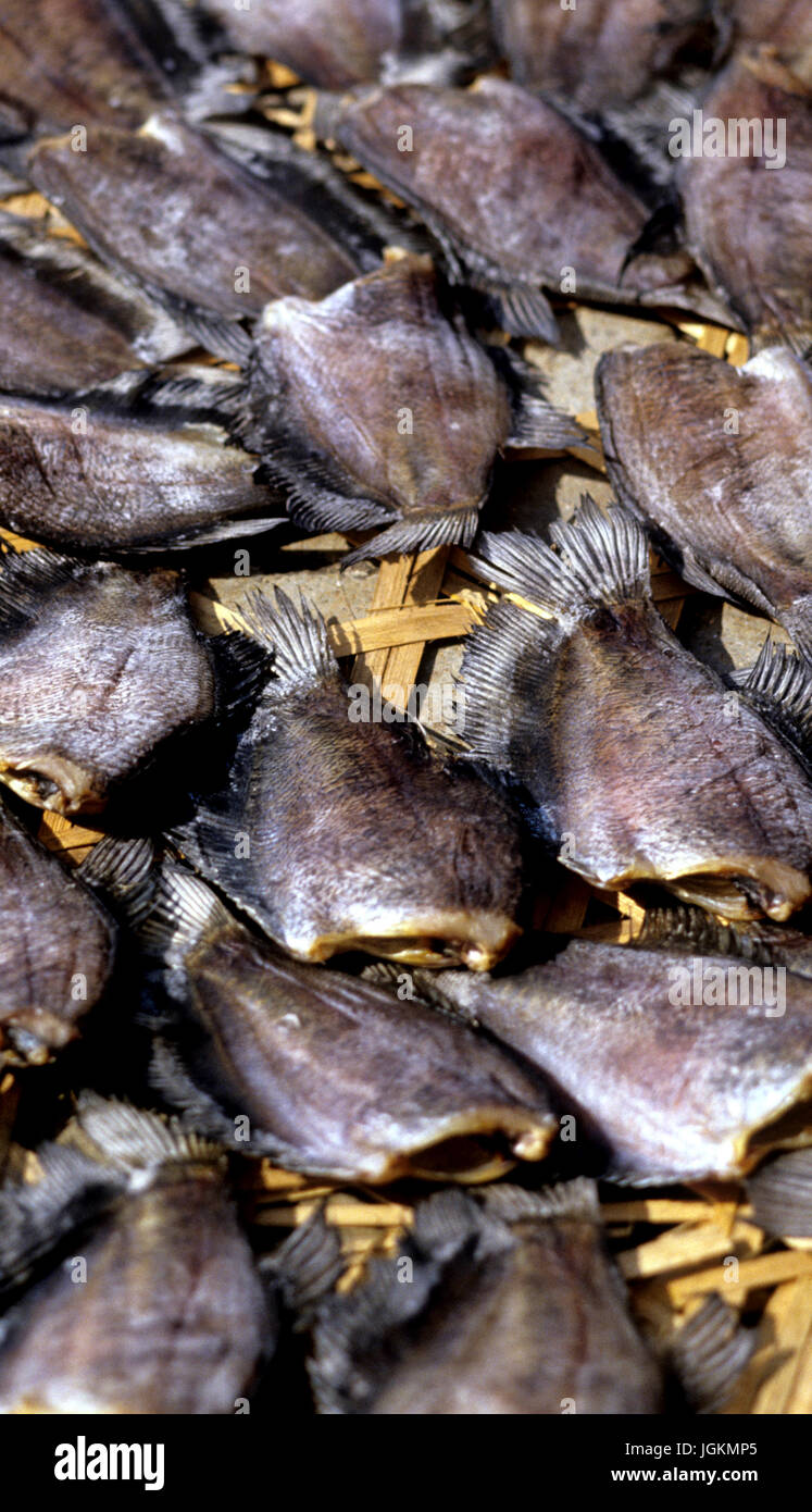RS 3058. Backgrounds; Colours; Colors; Display; Fish sun-drying from ...