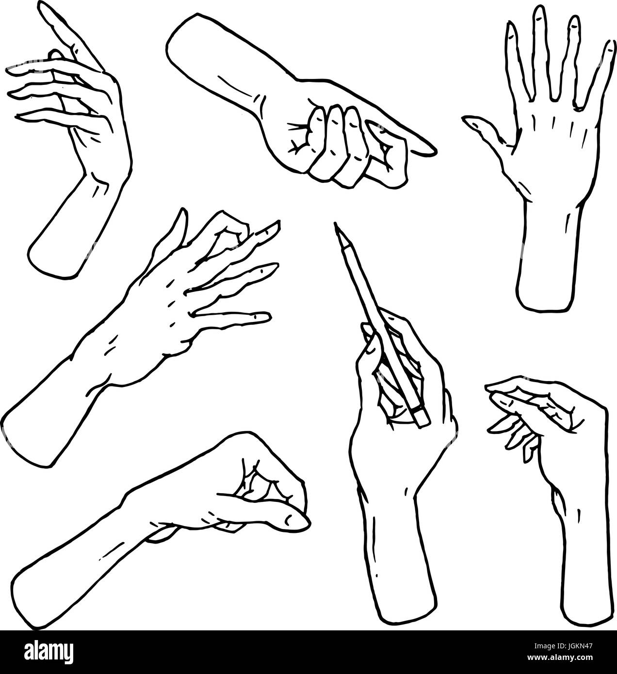 Diagram Of Hands And Arms
