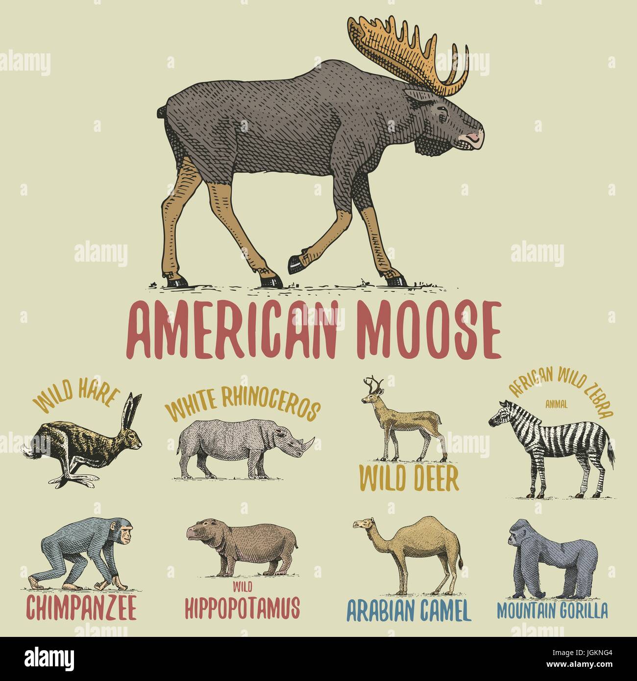 Wild gorilla, moose or eurasian elk, camel and deer, zebra with ...