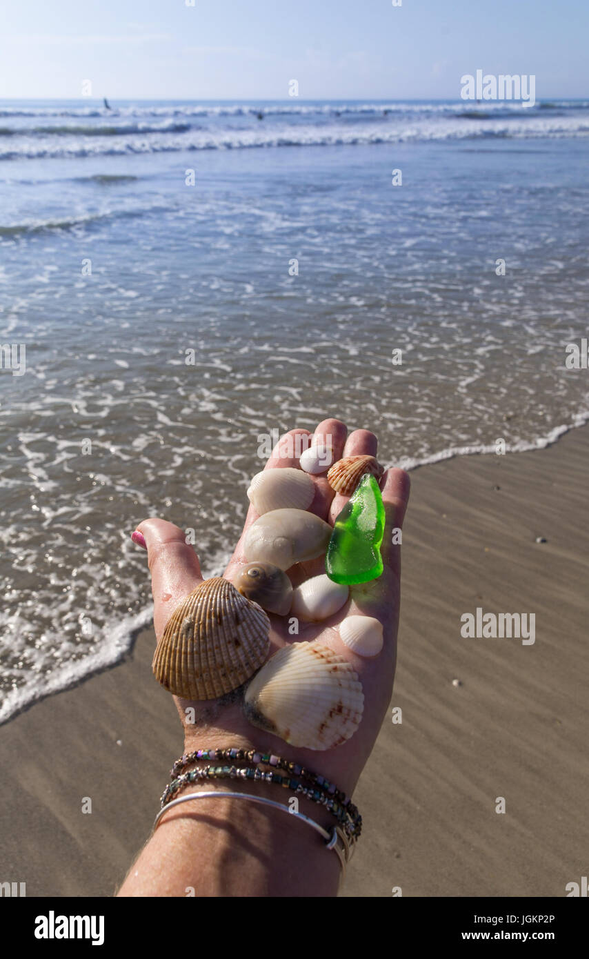 Collecting shells at the beach hi-res stock photography and images - Alamy