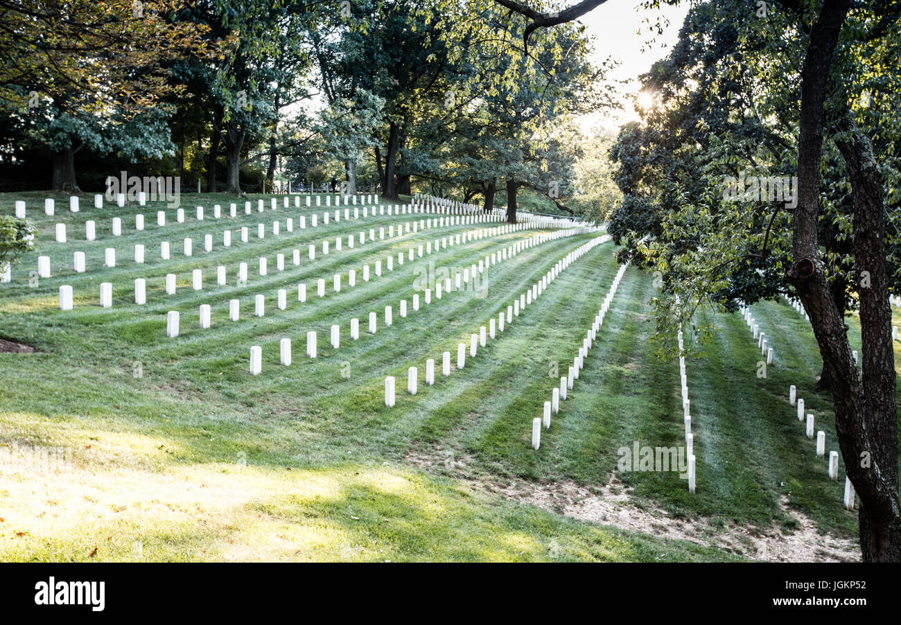 Rows of white graves stones in Arlington cemetery, Washington DC Stock ...