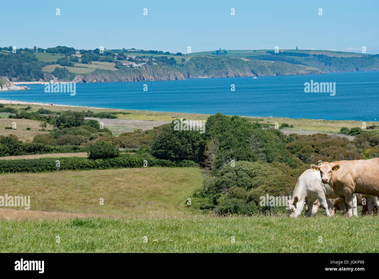 The coastline and beach at Slapton Sands, Devon Stock Photo - Alamy