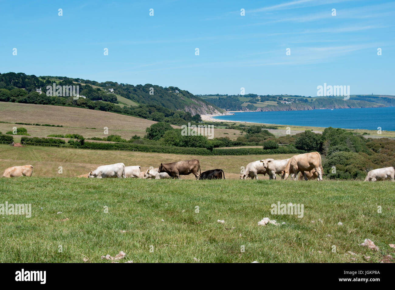 The coastline and beach at Slapton Sands, Devon Stock Photo - Alamy