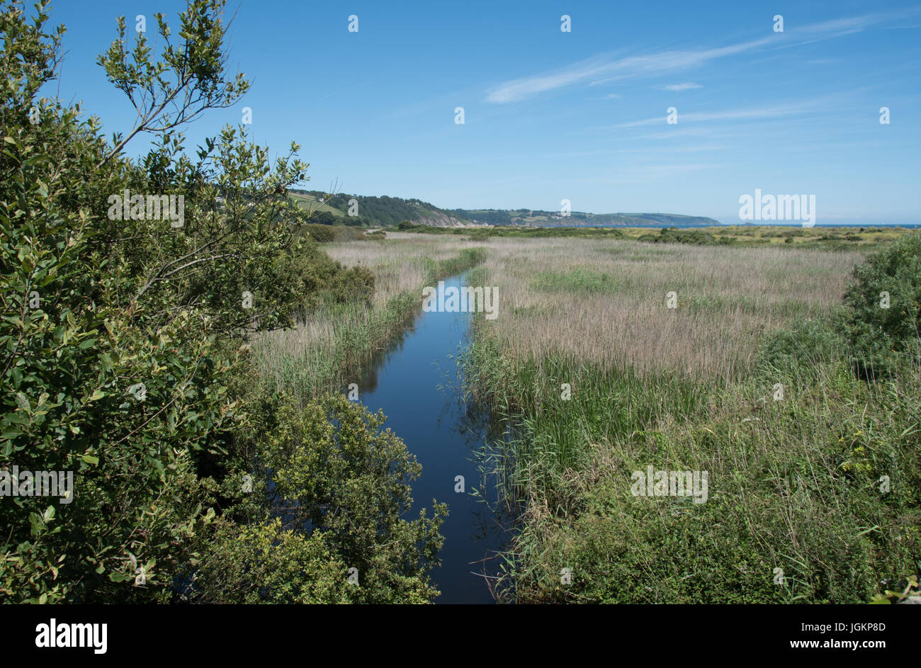 Slapton Ley National Nature Reserve, Devon Stock Photo - Alamy