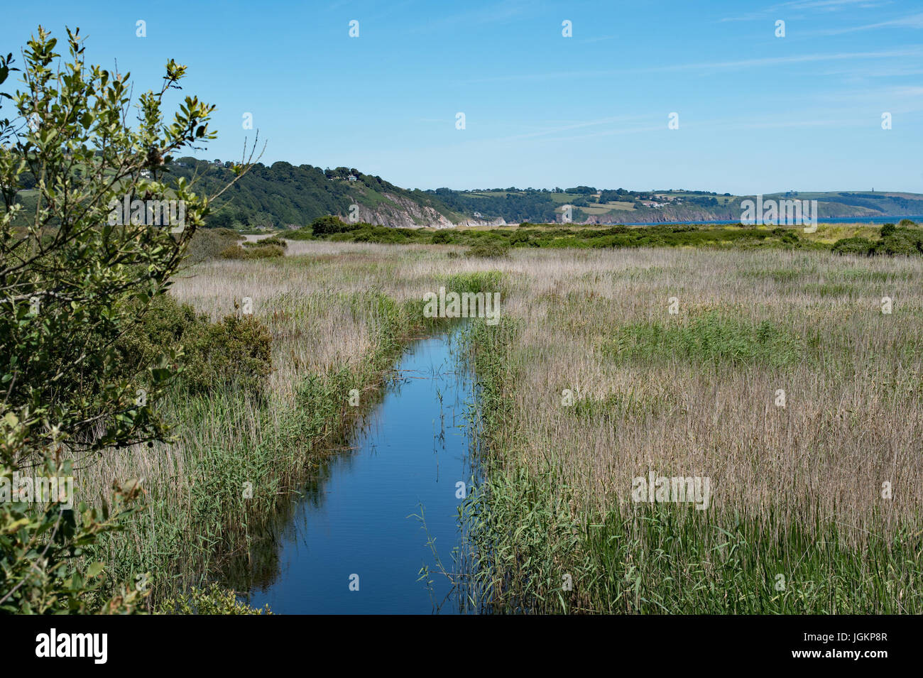 Slapton Ley National Nature Reserve, Devon Stock Photo - Alamy