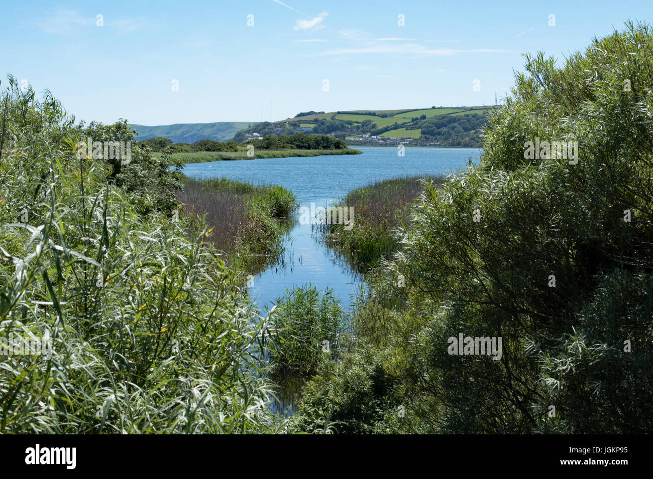 Slapton Ley National Nature Reserve, Devon Stock Photo - Alamy