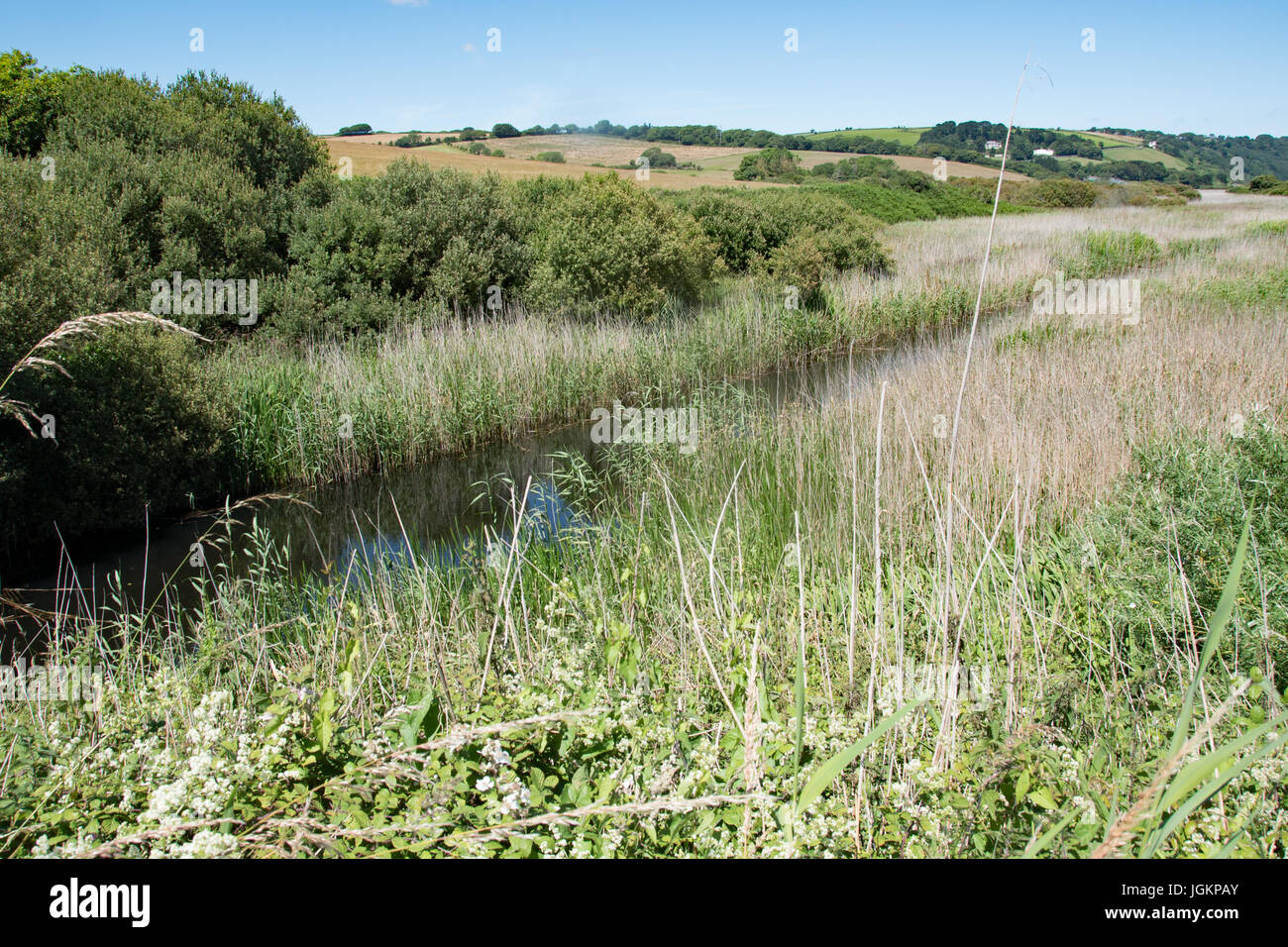 Slapton Ley National Nature Reserve, Devon Stock Photo - Alamy