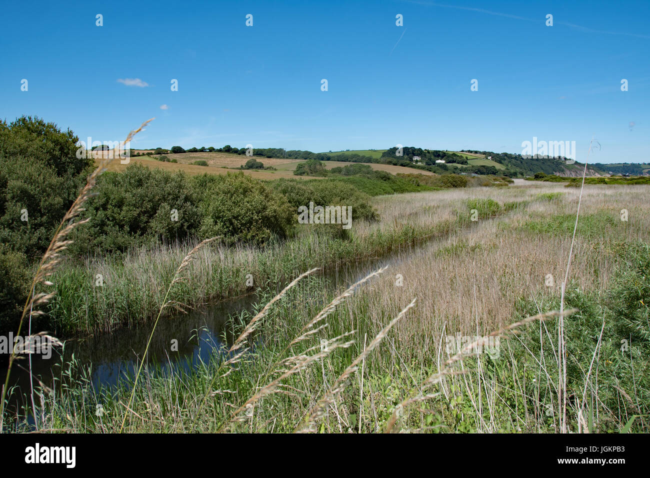 Slapton Ley National Nature Reserve, Devon Stock Photo - Alamy