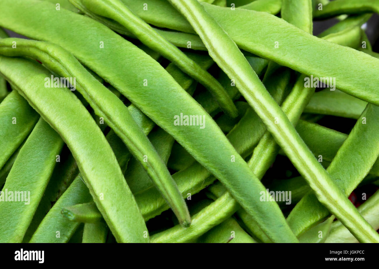 K1002. Backgrounds; Colours; Colors; Display; Runner Beans, Autumn ...