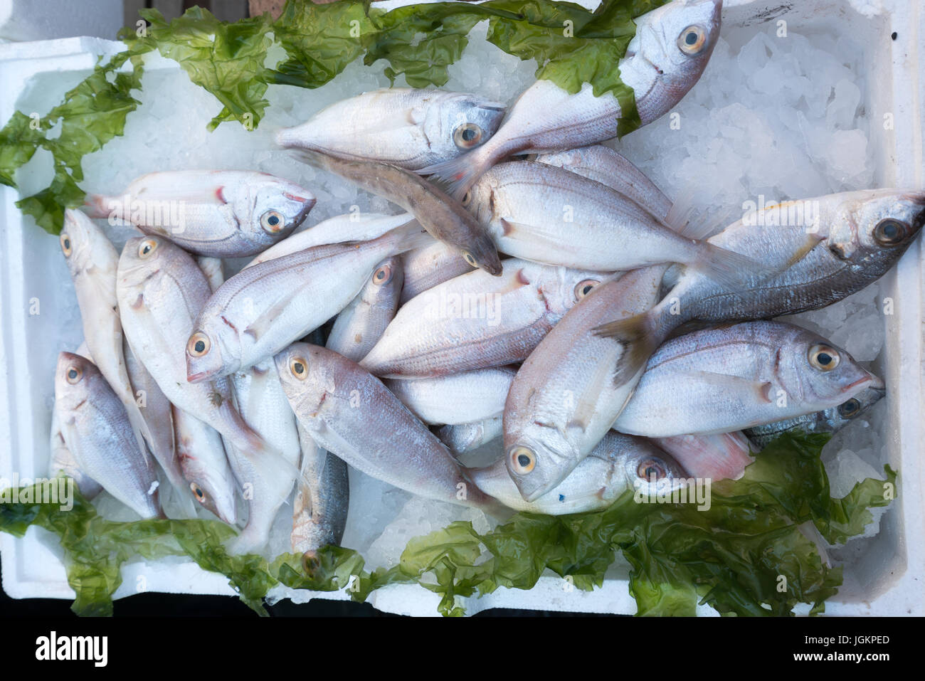 Fish exposed in open market Stock Photo - Alamy