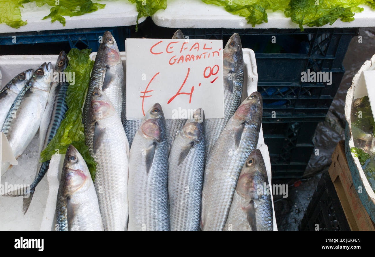 Mediterranean fish exposed in open market in Napoli Stock Photo - Alamy