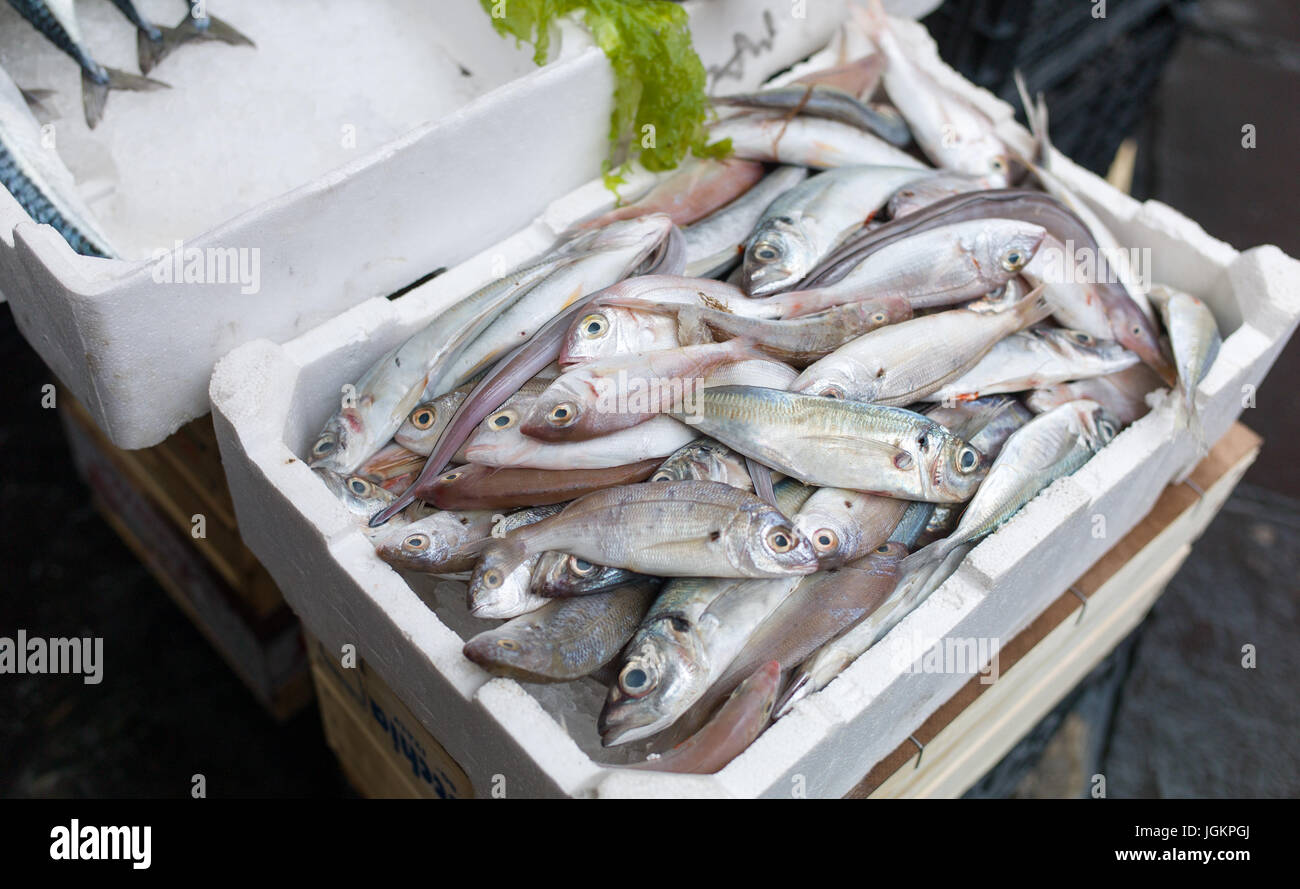 Mediterranean fish exposed in open market in Napoli Stock Photo - Alamy
