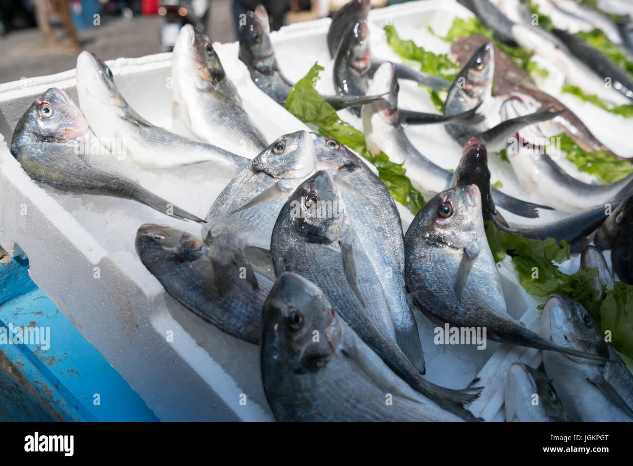Fish exposed in open market Stock Photo - Alamy