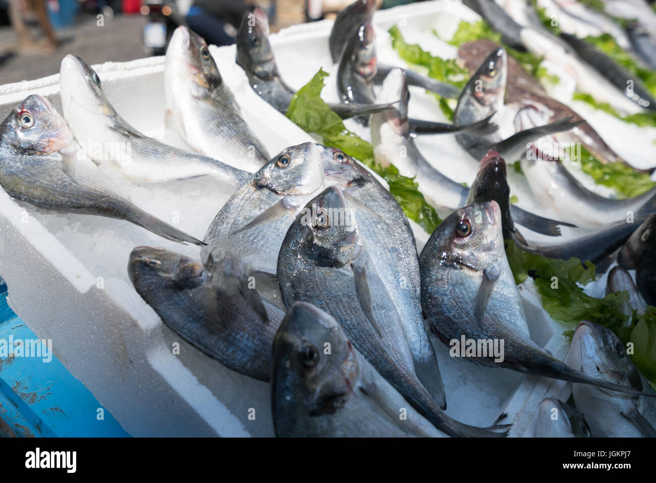Fish exposed in open market Stock Photo - Alamy