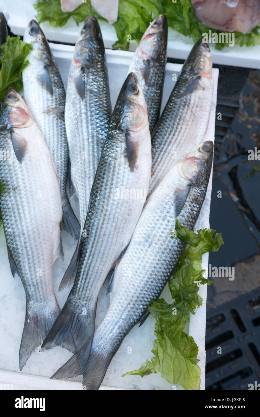 Fish exposed in open market Stock Photo - Alamy