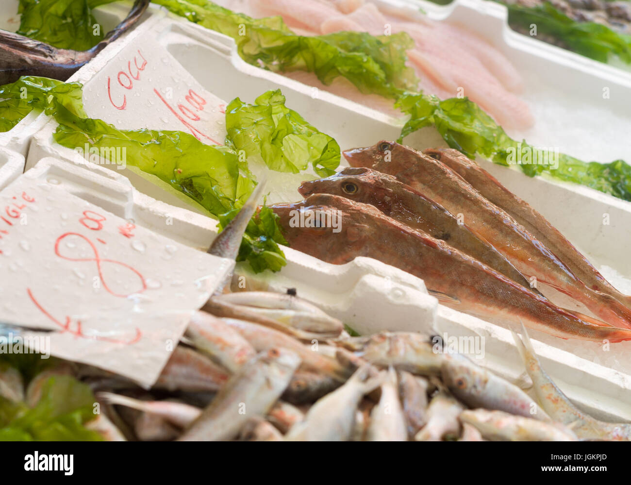 Fish exposed in open market Stock Photo - Alamy