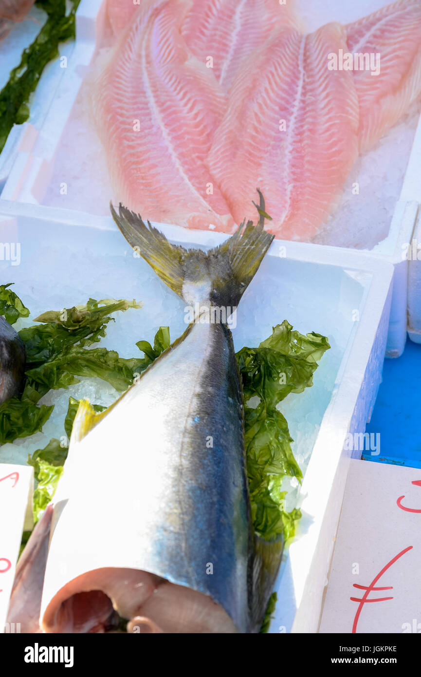 Pangasio hi-res stock photography and images - Alamy