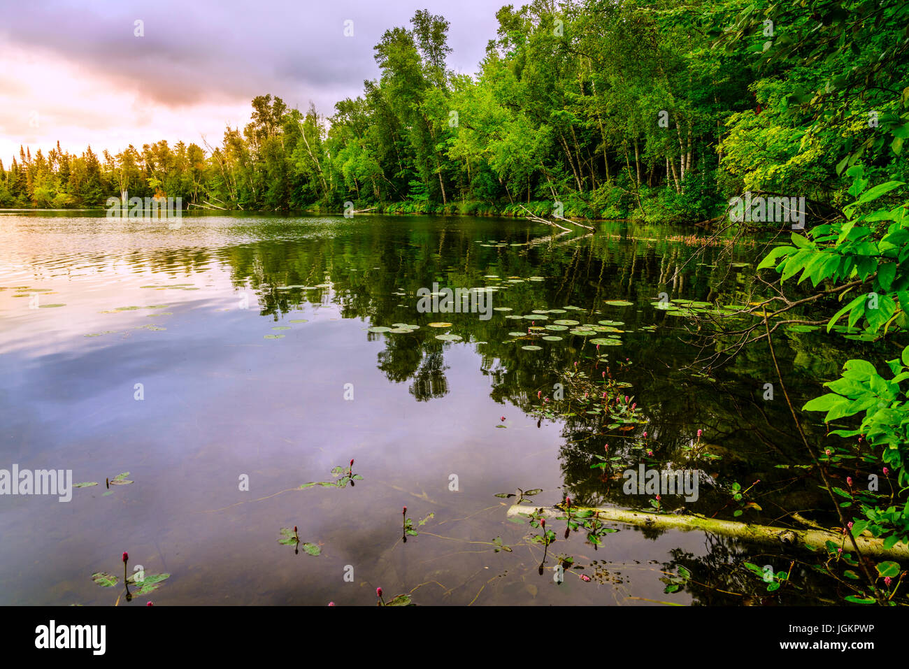 Small lake in Michigan's Upper Peninsula at sunset Stock Photo - Alamy