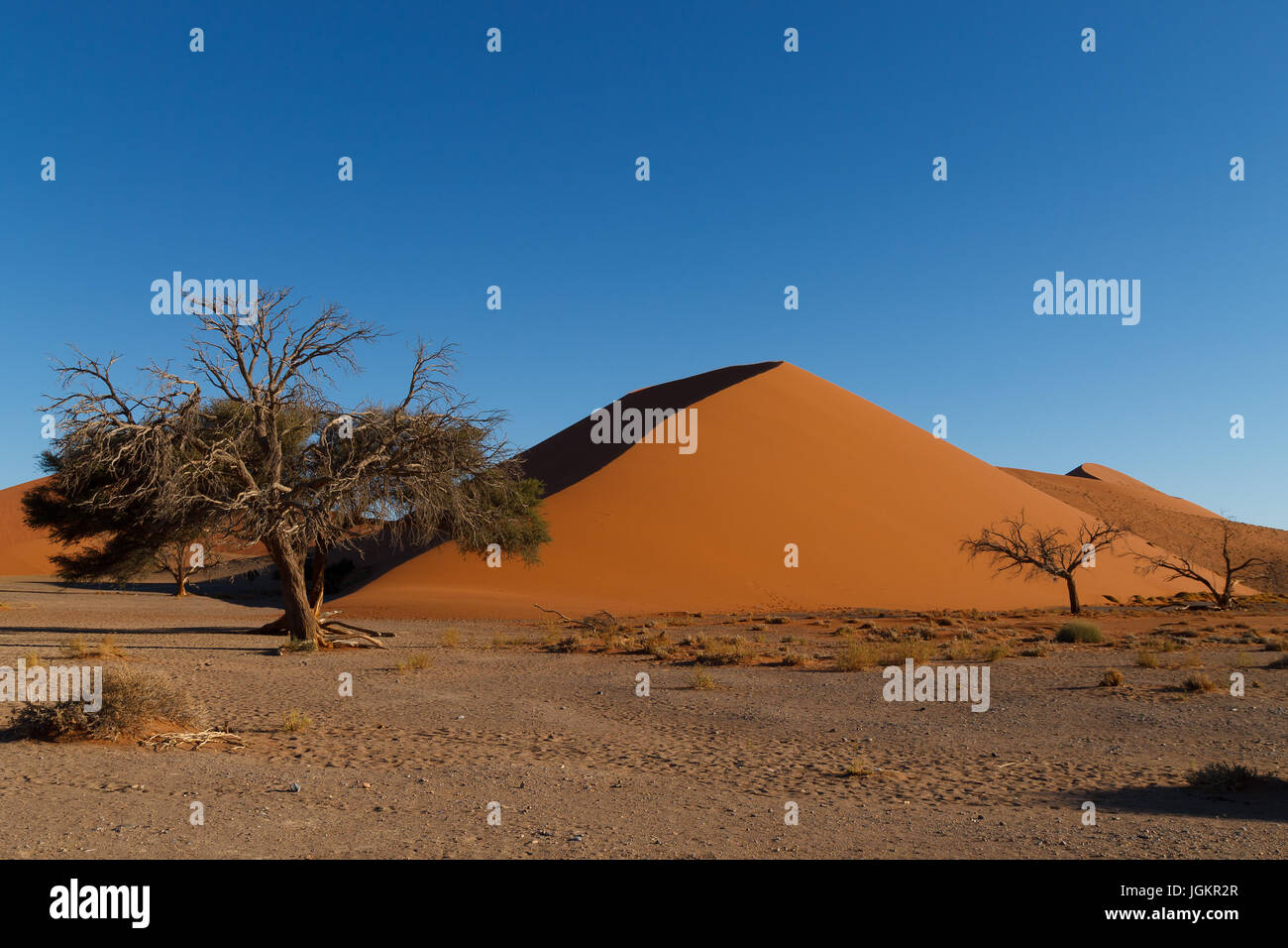 Red dunes on the road to Sossusvlei, Namibia Stock Photo - Alamy