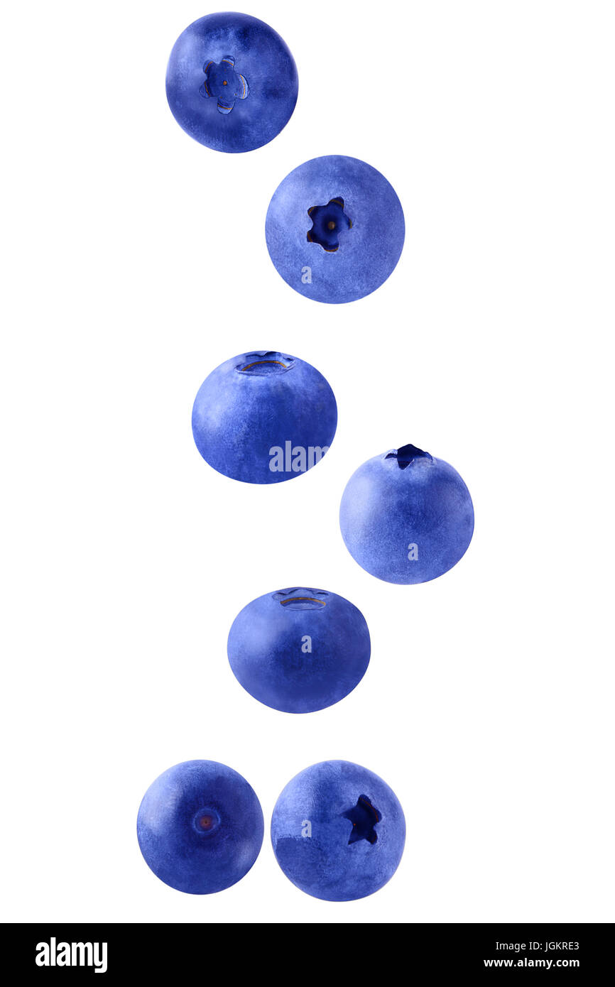 Falling blueberries isolated on white background with clipping path ...