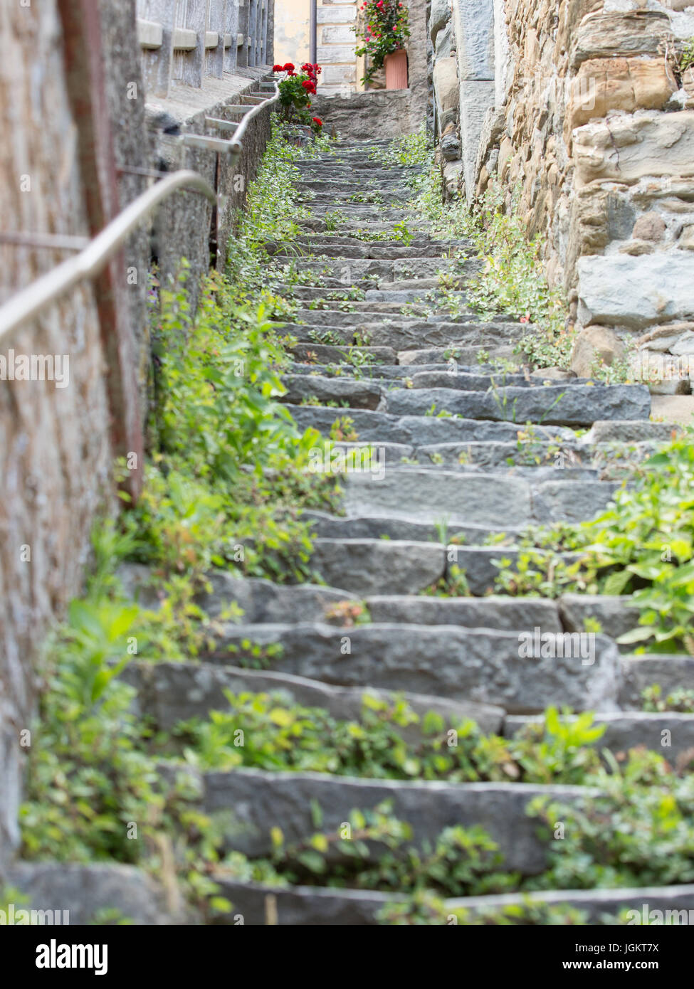 old stone steps of Riomaggiore, Italy Stock Photo - Alamy