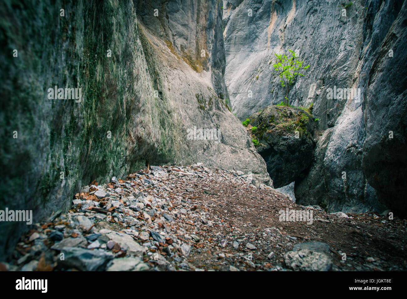 Rock face in cheddar gorge hi-res stock photography and images - Alamy