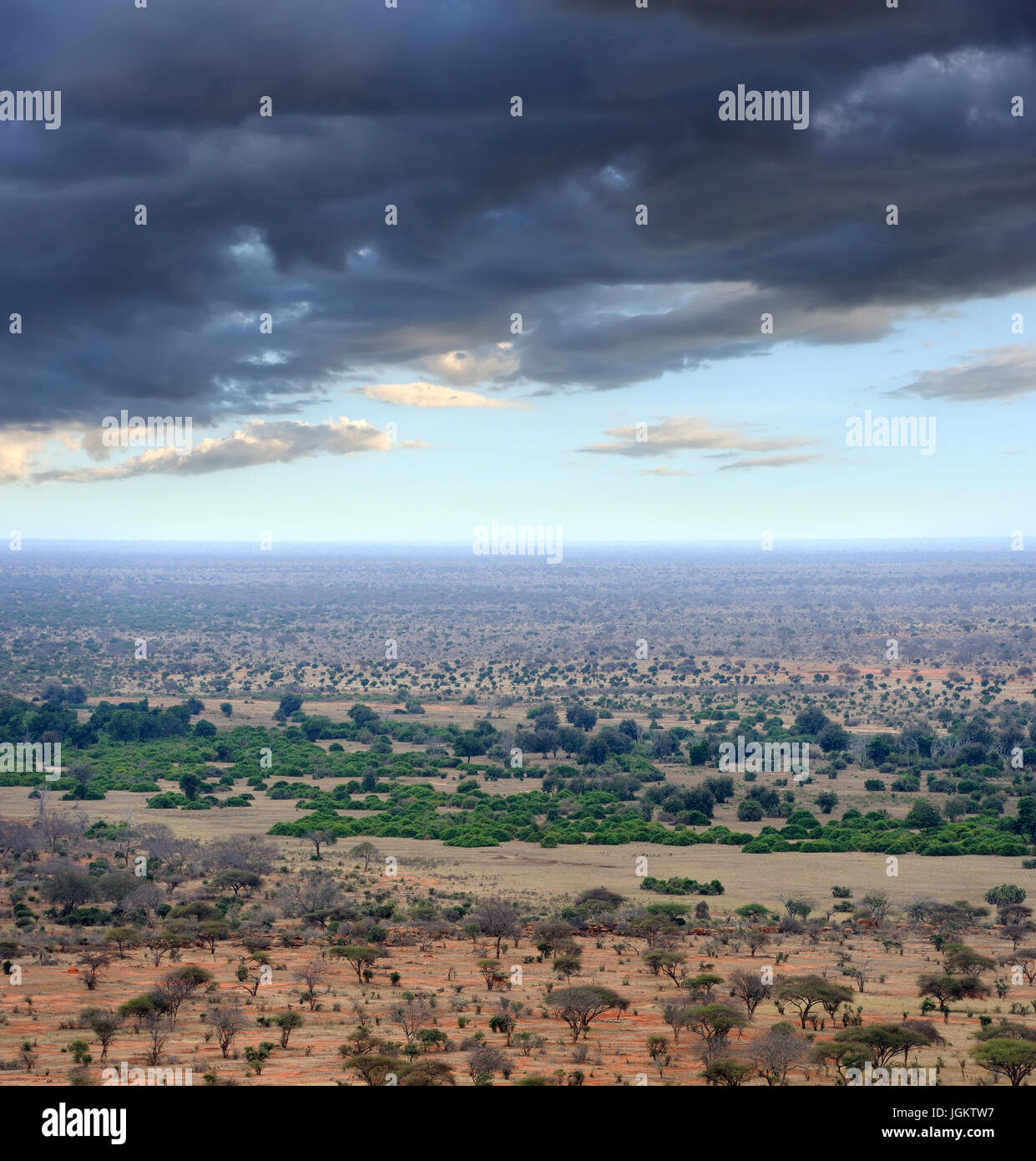African savannah safari panoramic hi-res stock photography and images ...