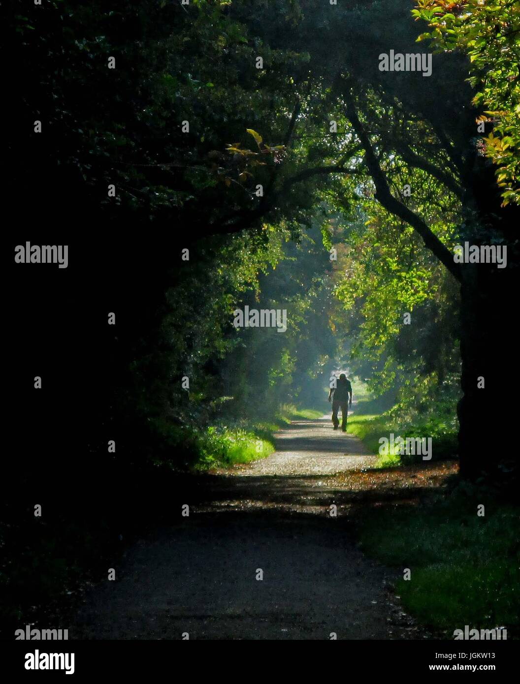 The Cinder Track Stock Photo - Alamy