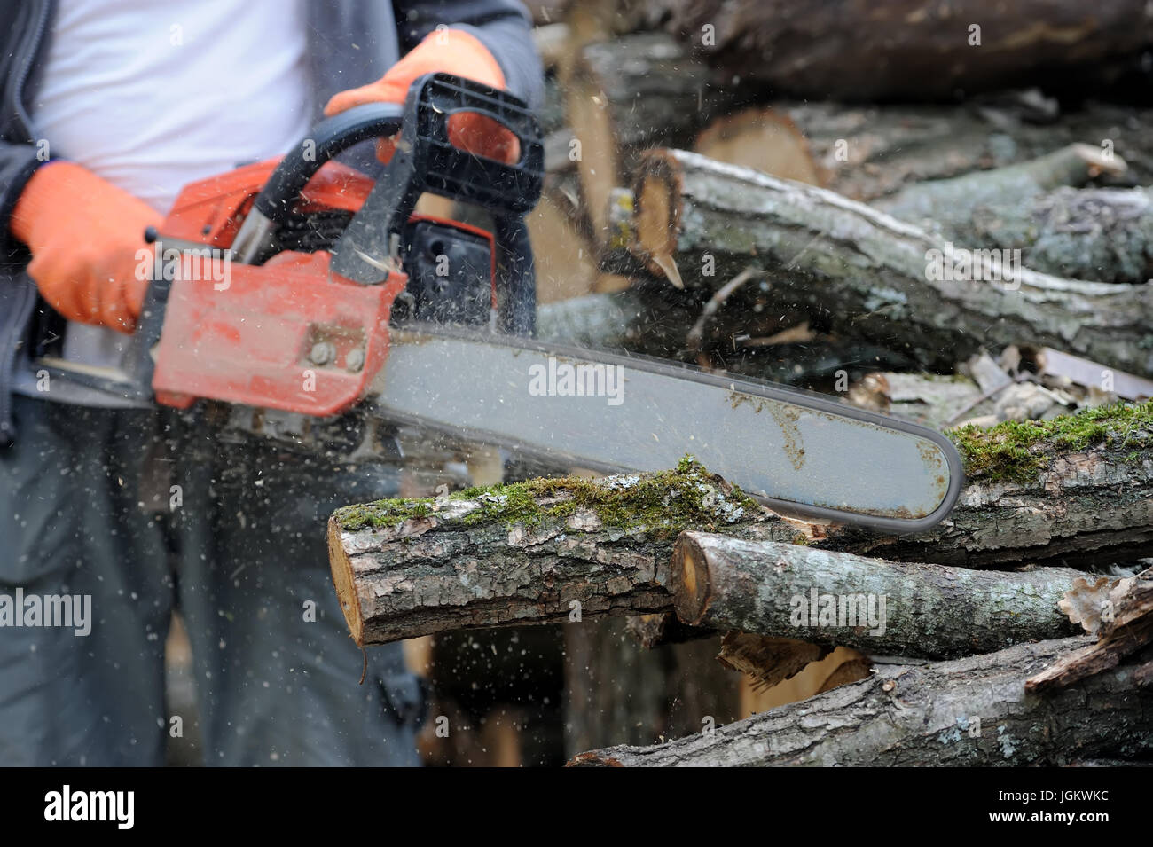 Close-up professional chainsaw blade cutting log of wood Stock Photo ...