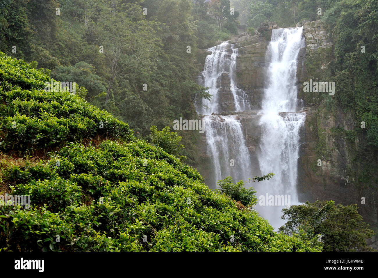 Beautiful waterfall ramboda in sri hi-res stock photography and images ...