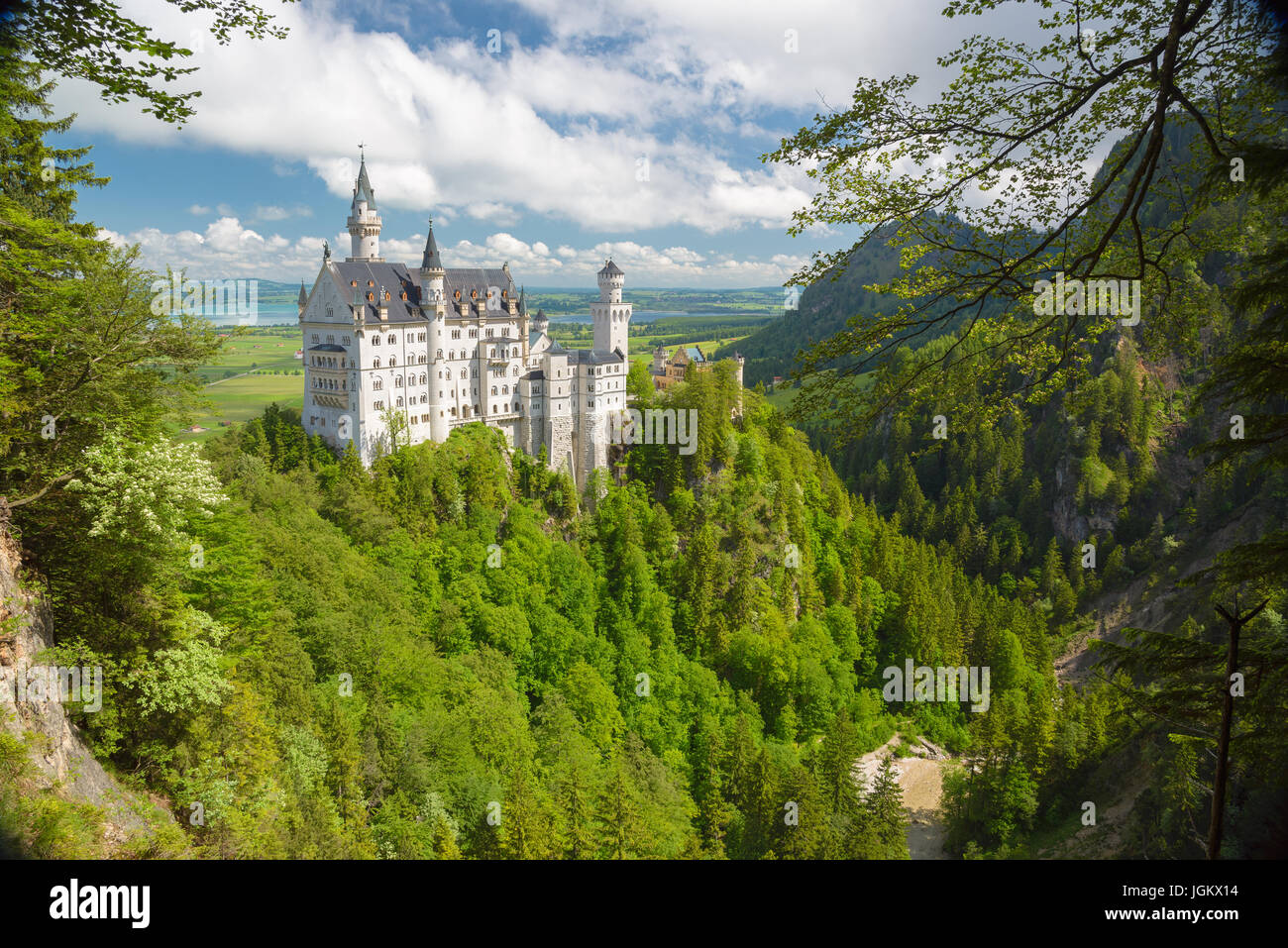 Picturesque nature landscape with Neuschwanstein Castle. Germany Stock ...