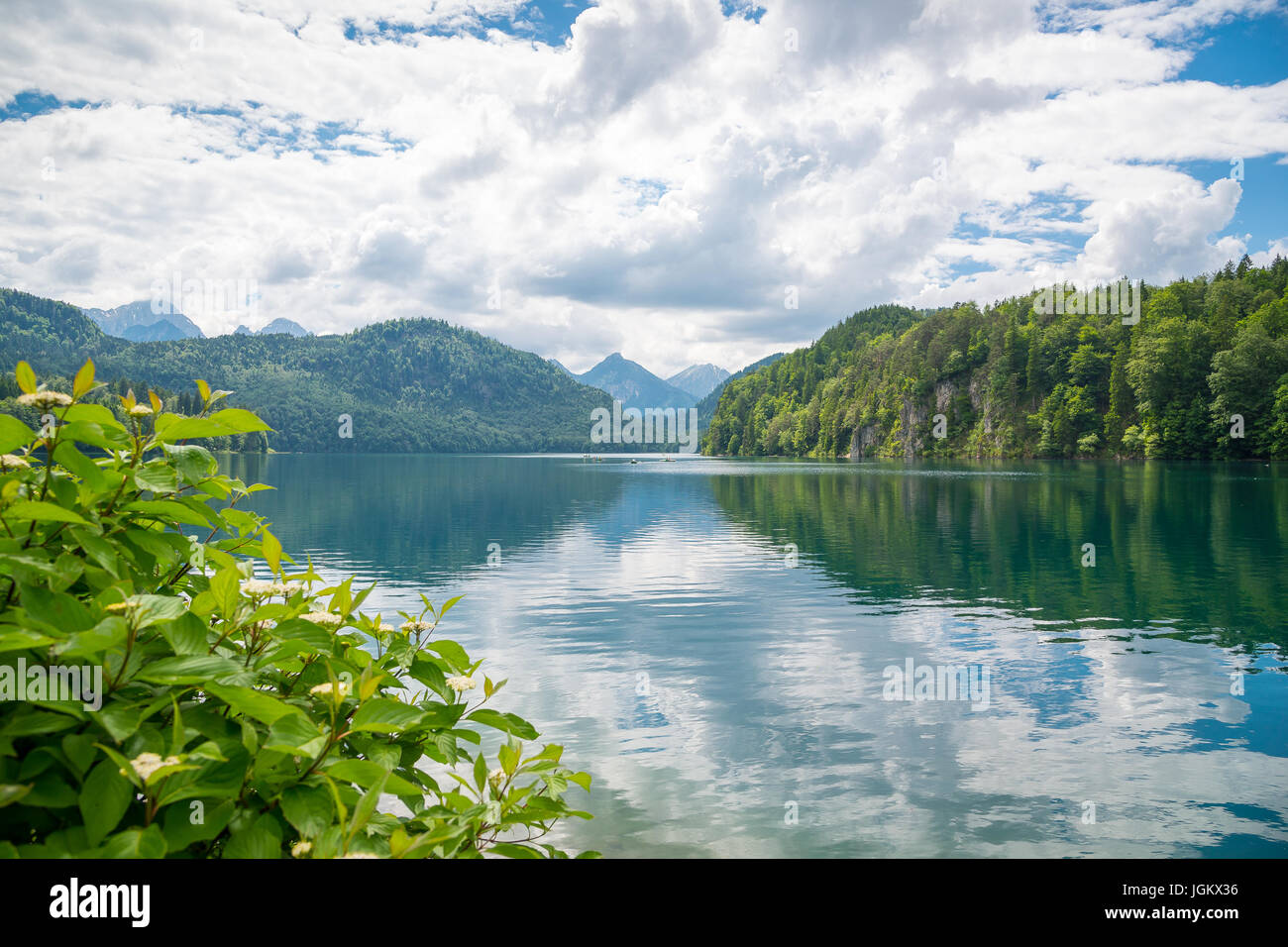 Blue Alpsee Lake in the Green Forest and Beautiful Alps Mountains ...