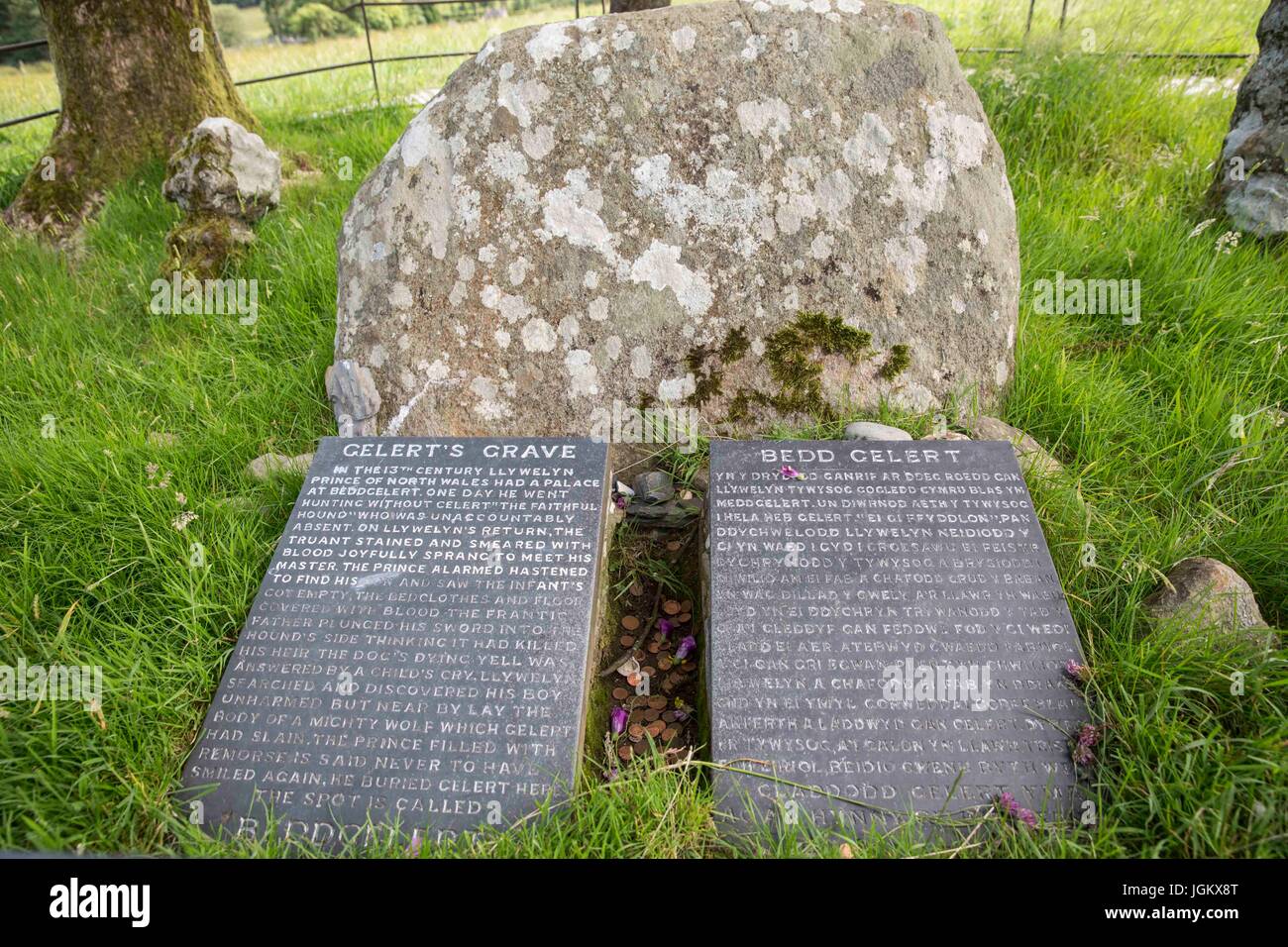 The site of Gelert's Grave in Beddgelert, Gwynedd, North Wales, UK ...