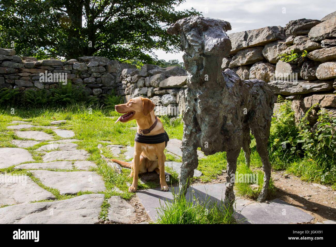 Gelert Beddgelert High Resolution Stock Photography and Images - Alamy