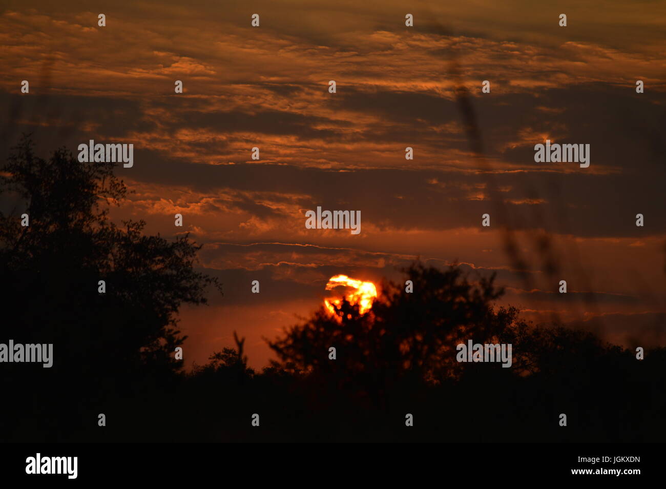 Afternoon lighting hi-res stock photography and images - Alamy