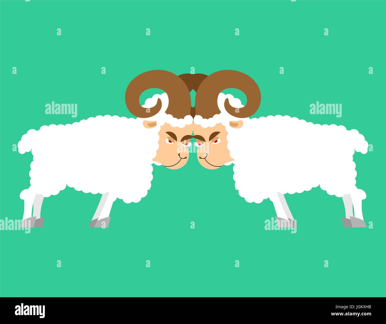 Sheep to butt. Confrontation beast. Competition of male ram. Battle ...