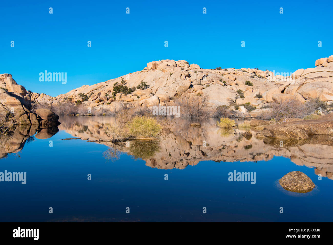 A watering hole in Joshua Tree National Park, California, USA Stock ...