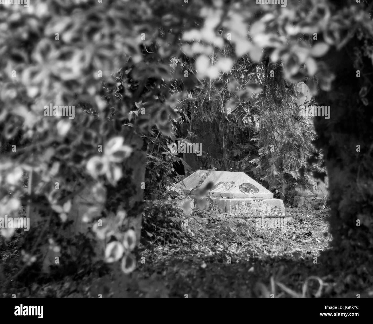 Quiet place to rest Black and White Stock Photos & Images - Alamy