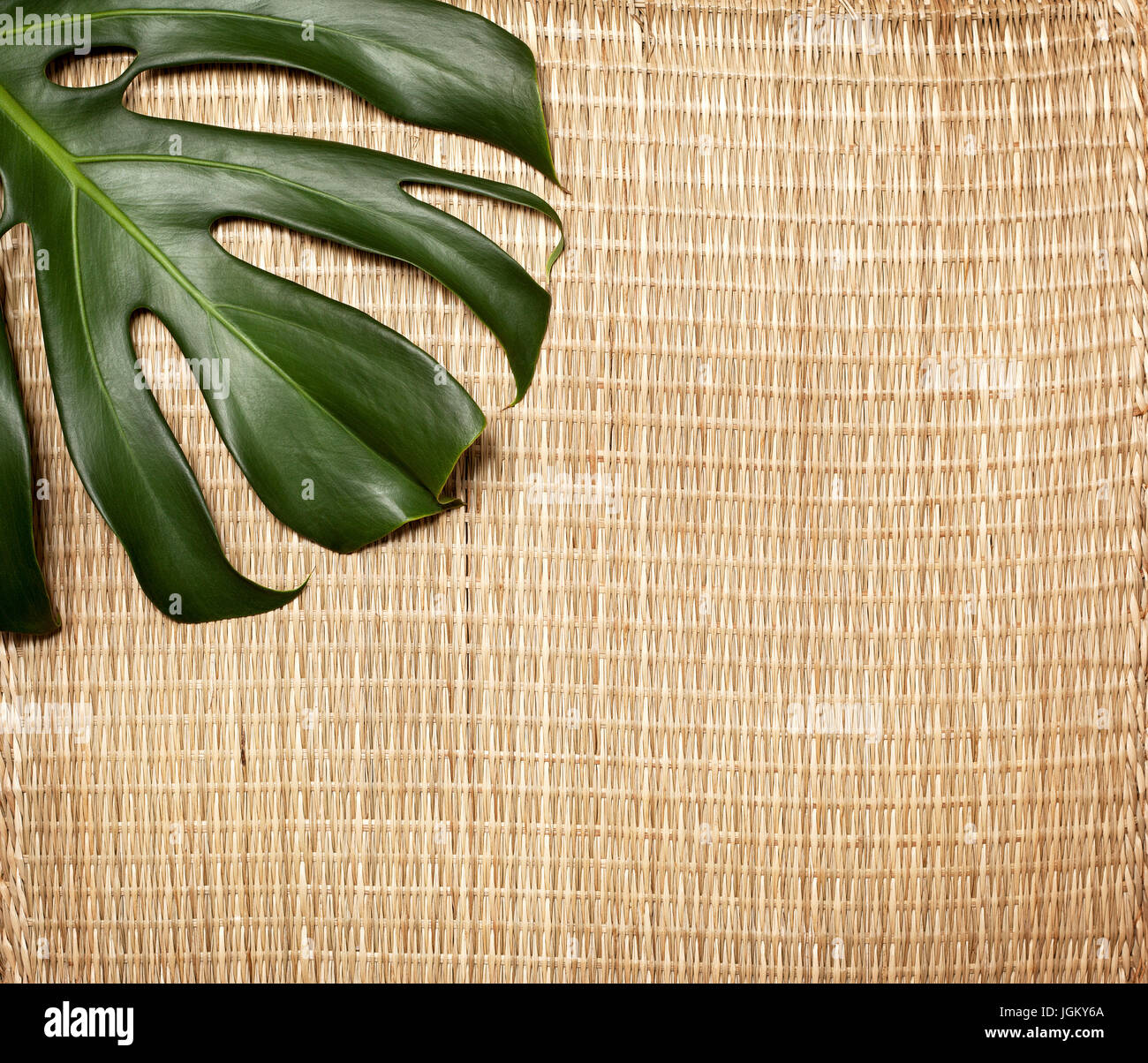 Wallpaper monstera hi-res stock photography and images - Alamy