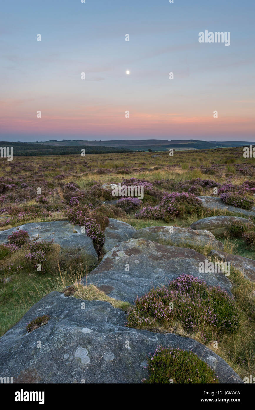 Moon rising over moors at Baslow edge, Peak District national park ...